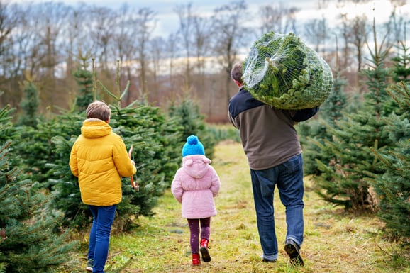 Christmas Tree Fire Safety Guide